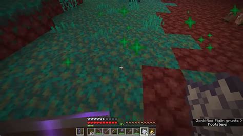 Minecraft How To Craft Warped Nylium Simple Guide