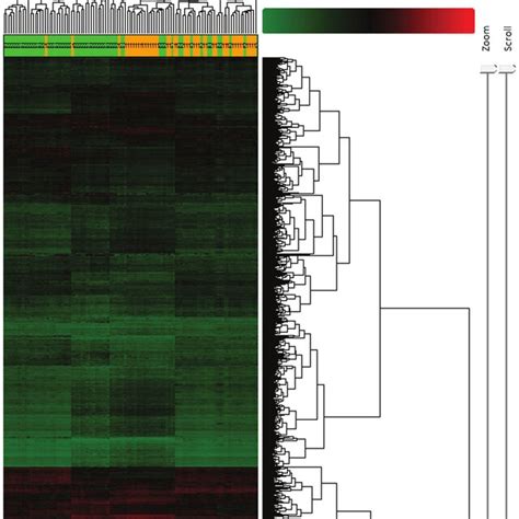hierarchical clustering of the differentially expressed lncrnas and