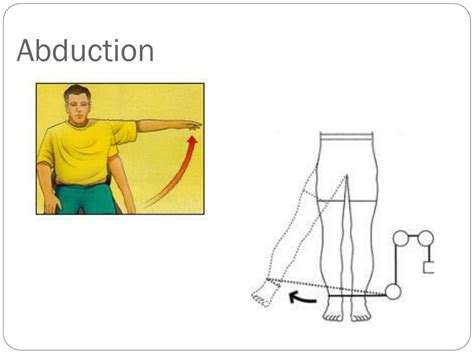 Abduction Description Anatomy At Minnie Butler Blog