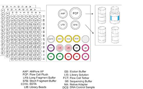 Native Barcoding Kit 96