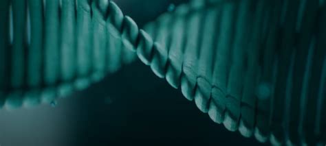 Benchmarking And Performance Assessment Services Ptag