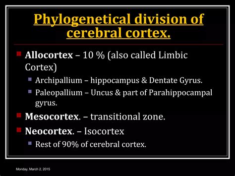 Cerebral Cortex Ppt