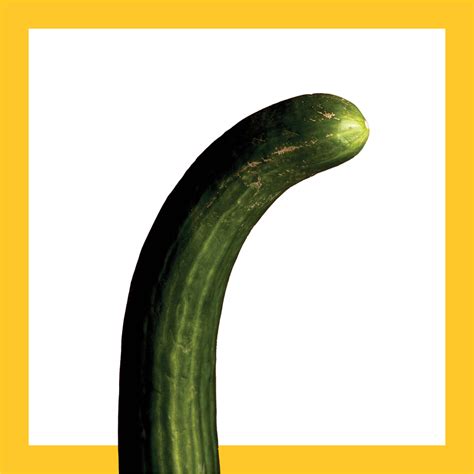 21 Types Of Penises Different Shapes Sizes And What To Know