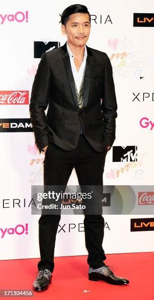 Zeebra Photos And Premium High Res Pictures Getty Images