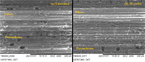 Scanning Electron Microscope Sem Analysis On Longitudinal Direction
