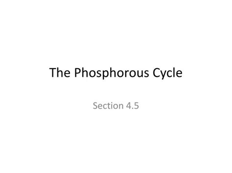 Ppt The Phosphorous Cycle Powerpoint Presentation Free Download Id