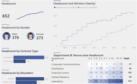 Home Eclytics Business Intelligence Services