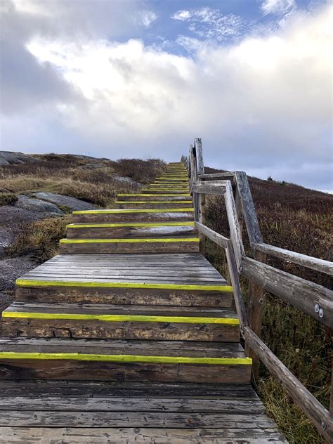 Stairs Nature Outdoors - Free photo on Pixabay - Pixabay