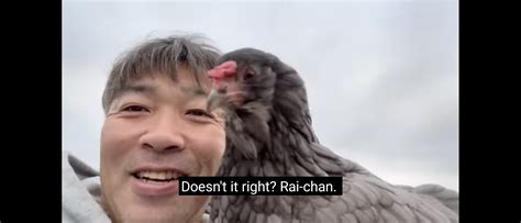 I Have Never Seen Anyone Who Loves Chickens As Much As He Does R Chickens