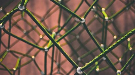 Everyday Analytics Quality Digest