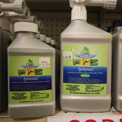 Spinosad Bagworm Tent Caterpillar And Chewing Insectcontrol Concentrat Rail City Garden Center