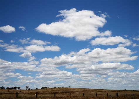 Fichiercumulus Humilis Clouds — Wikipédia