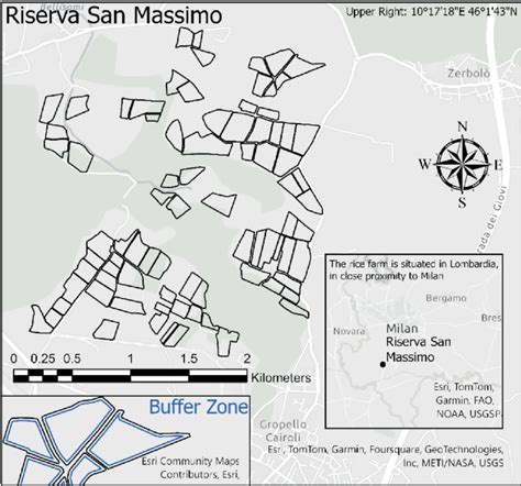 Assessment Of Planetscope Imagery For The “riserva San Massimo” Rice