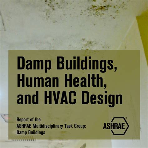 Mold Avoidance — Mason Grant