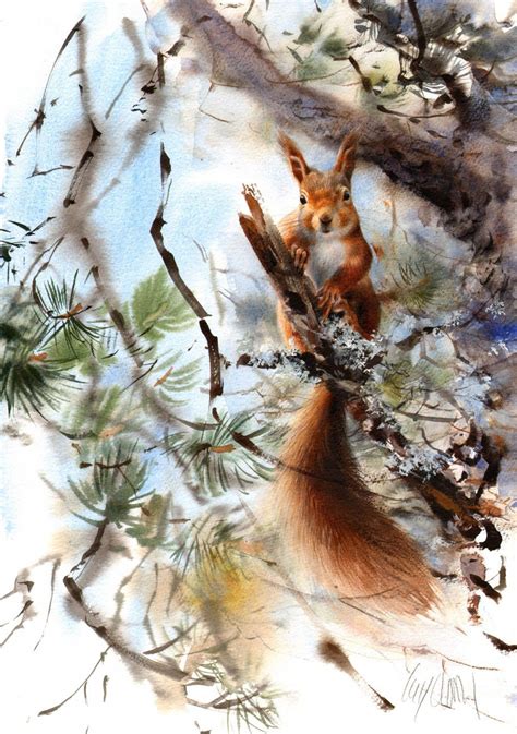 Red Squirrel Pine Forest By Lucy Newton