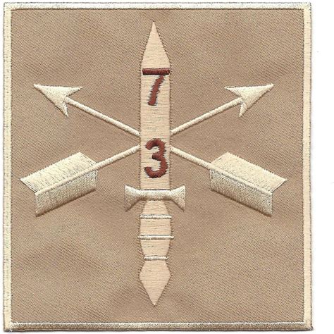 3rd Battalion 7th Special Forces Group Combat Helmet Desert Patch