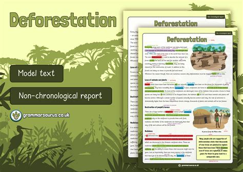 Beautiful Non Chronological Report Year 4 Wagoll Example Methods
