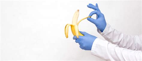 Fimoza Cauze Simptome Si Tratament Explicate De Poliana Policlinica