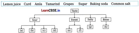 Exploring Substances Acidic Basic And Neutral Class 7 Worksheet With Answers Science Chapter 2