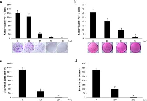 Suppression Of In Vitro Colony Formation Migration And Invasion Download Scientific Diagram