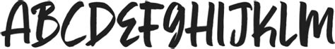 parisvibesscriptalt regular otf 400 font handwritten mod what font is