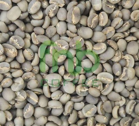 Jenis Kopi Arabika Yang Wajib Anda Ketahui Fnb Coffee Supplier Biji Kopi Hijau Indonesia