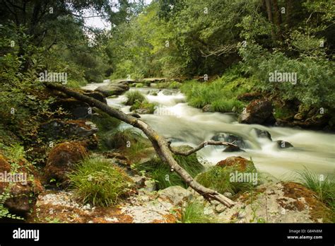 Umia river hi-res stock photography and images - Alamy