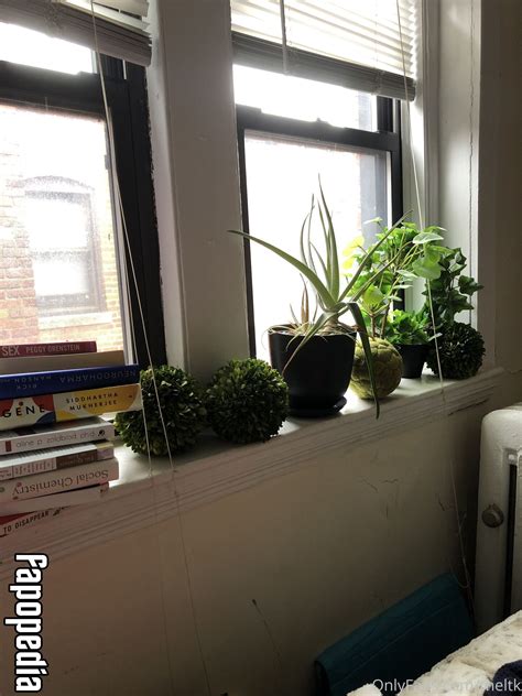 Theltk Nude Onlyfans Leaks Photo 4621604 Fapopedia