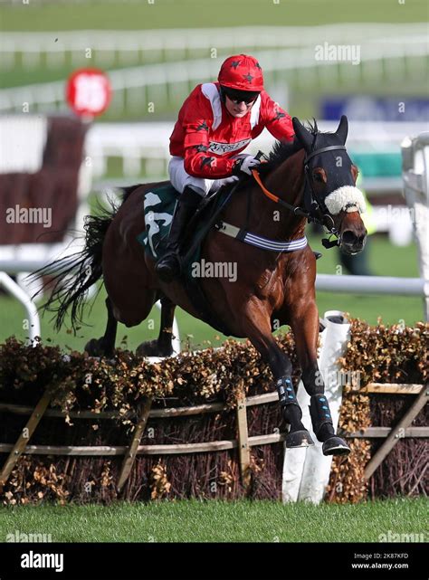 Soul Icon Ridden By Harry Kimber Clears The Last Fence Before Going On