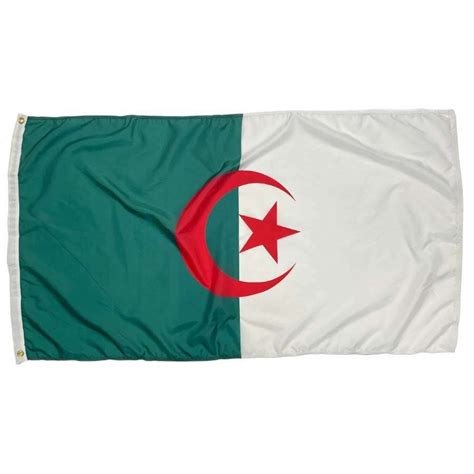 Algeria Flag Algerian African Flag