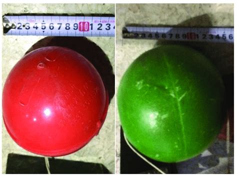 the two balls used in the experiment download scientific diagram