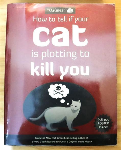 How To Tell If Your Cat Is Plotting To Kill You Hobbies Toys Books Magazines Magazines On