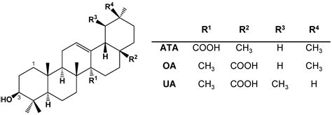 3β Hydroxy 12 Oleanen 27 Oic Acid Exerts An Antiproliferative Effect On