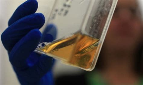 Human Stem Cells Converted To Functional Lung Cells