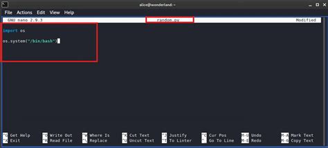 Malicious File Analysis Exe Baris Dincer Medium