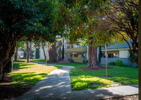 Woodland Park Palo Alto Ca Welcome Home