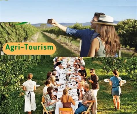 Agro Tourism Services At ₹ 100000project In New Delhi Id 2853157277697