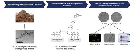 Jrm Folic Acid Functionalized Nanocrystalline Cellulose As A