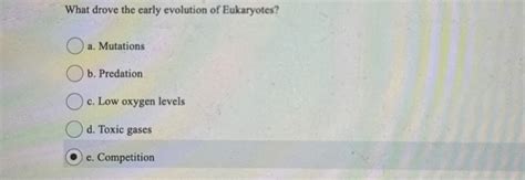 Solved What Drove The Early Evolution Of Eukaryotesa
