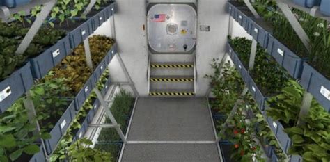 Here Is How Plants Grow In Microgravity At The International