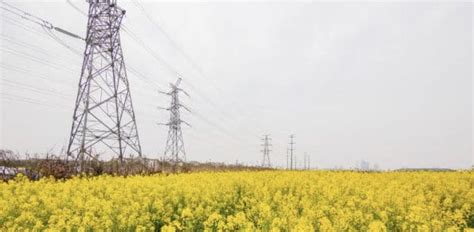 Data Center Post On Linkedin Techinnovation Powersolutions