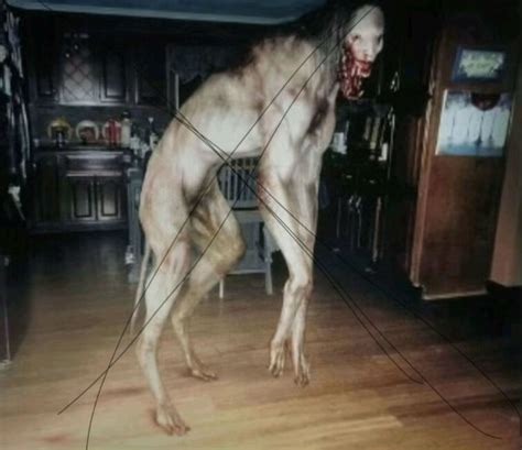 Discuss Everything About Total Drama Objects Wiki Fandom