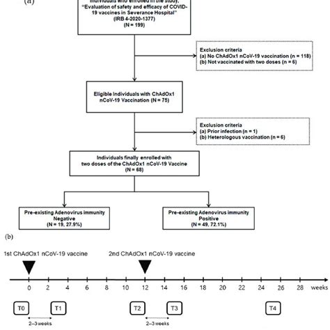 A Flow Chart Of Individuals With Chadox1 Ncov 19 Vaccination