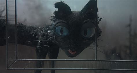 Black Cat From Coraline Wallpaper
