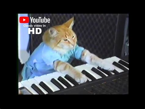 Keyboard Cat Memes
