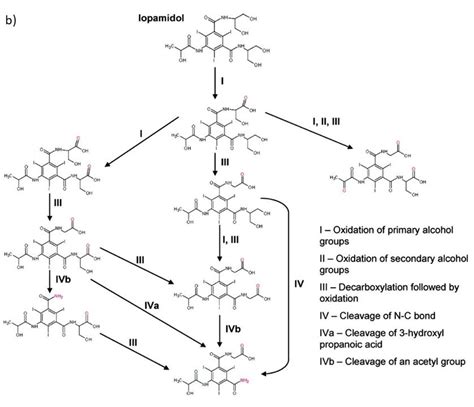 Proposed Microbial Transformation Pathway Tp Transformation Products