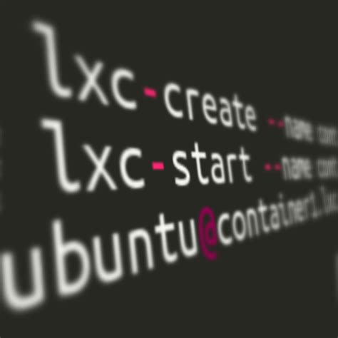 Dns Resolution For Lxc In Ubuntu 1404