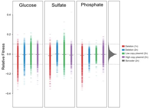 The Distribution Of Mutational Effects In Yeast Biomolbioandco