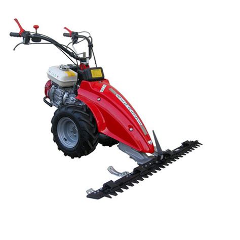 Push Lawn Mower F 1900 Benassi Diesel