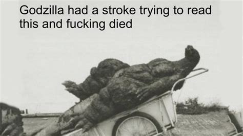 Godzilla Had A Stroke Trying To Read This And Fucking Died Know Your Meme